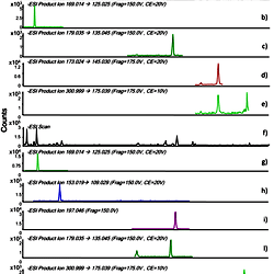 HPLC-MS-ESI-Q-ToF chromatograms.
