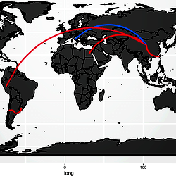 GI-16 genotype migration paths.