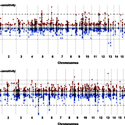 Miami plots showing comparison between association profile between ...