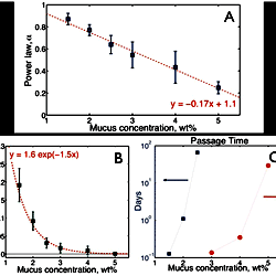 Scaling of the MSD versus mucus solids concentration, where