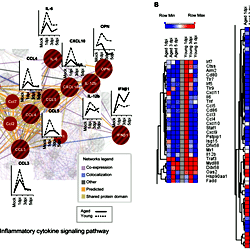 Pathway network and heatmap assembly identified age-related changes to ...