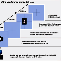 Procedure of the interference and switch task with two out of 16 ...
