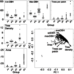 Proportion of 534 tree patches sorted by group number from four old ...