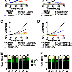 Combinations of NHAPI or its Fe complex with TMX caused decreases in ...