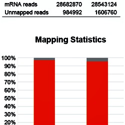 Sequence read mapping statistics.