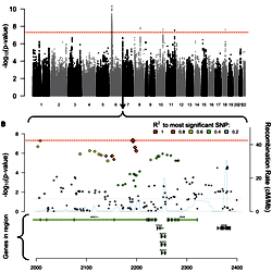 Manhattan plots illustrating data use decisions in pathway analyses.