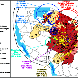 Distribution of village-level space-time clusters of RVF cases in ...