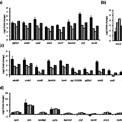 Comparison of normalization methods.