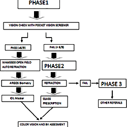Flow chart of the school vision screening process.