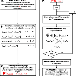 Summary of model formulation process.