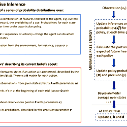 A quasi-mathematical description of the framework of Active Inference ...