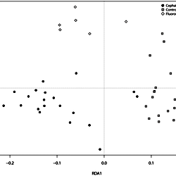Graphical representation (distance plots) of the redundancy analysis ...