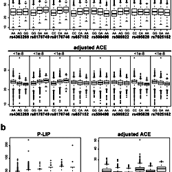 ABO locus and PLIP/ACE levels.