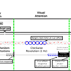 Illustration of the visual/auditory selective attention tasks.