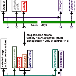 The compound screening procedure.