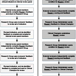 Overview of the internal and external indicator review process.