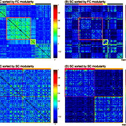 Modular organization.