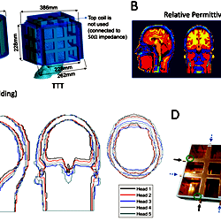 Coil designs and head models.