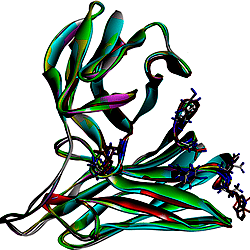 scFv molecular overlay with mutant superimposition.