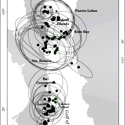 Correction of land-based SSM locations.