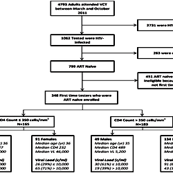 Participant Disposition Flow Diagram.