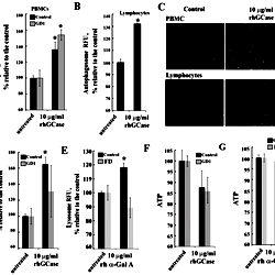 Effect of recombinant enzyme on the ALP pathway and ATP levels.