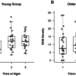 REM density values across the night.