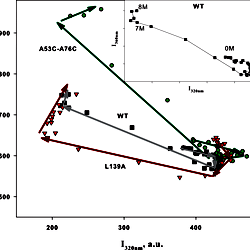 Phase diagram analysis of urea-induced unfolding of BCA II.