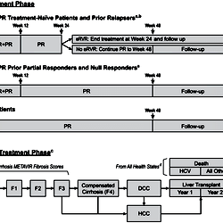 Overview of the Cost-effectiveness Model Structure: Treatment Phase and ...