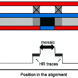 Rationale for the bio-informatics detection of mosaics.