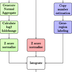 Bottom-up, integrated analysis workflow.