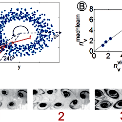 Vortex shedding frequency estimation for