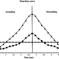 Example of the total external load during one repetition in the three ...