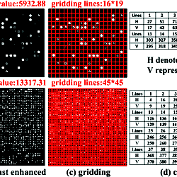 Automatic microarray image segmentation with clustering-based algorithms - Fig 2