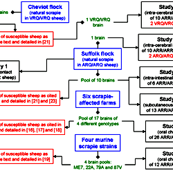 Design of the different studies with reference to the source of the ...