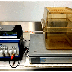 Image of low-intensity vibration (LIV) plate used for LIV treatments.
