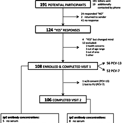 Flow chart of participants through the study.