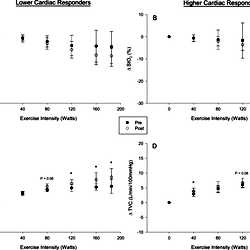 Exercise training and exercise skeletal muscle oxygenation.