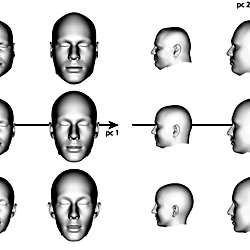 Head variants along the two principal components with the largest ...