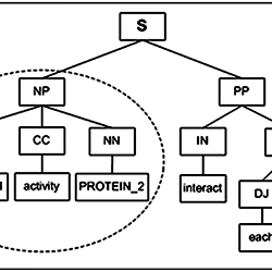An example of the extension of SPT.