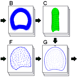 Graphical abstract of the proposed methodology.