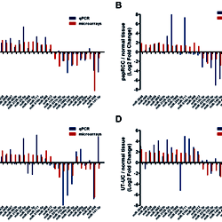 Correlation between microarrays and qRT-PCR.
