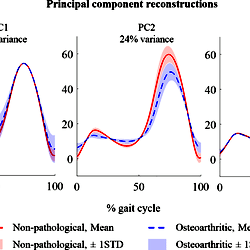Exemplar PC reconstruction using the first three principal components ...