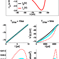 LAP optimal waveforms and for the 0D HHM: The approximation of the ...