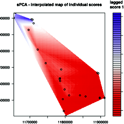 Interpolation map for Neotricula γ-aperta.