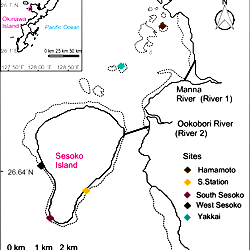 Map of Sesoko Island showing study area.