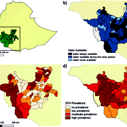 Maps depicting results from the regional survey in SNNPR.