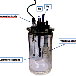 Schematic illustration of the three-electrode electrochemical cell used ...