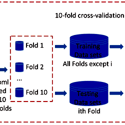 Process of the evaluation.