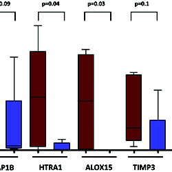 Technical validation of Infinium methylation data using Methylight assays.
